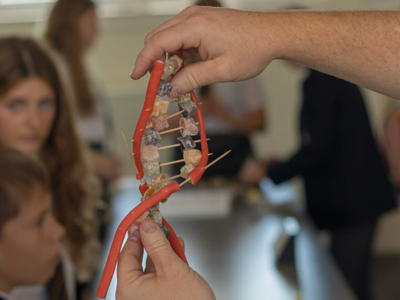 Biology Pupils Use Jelly Babies And Strawberry Laces in Sweet DNA ...