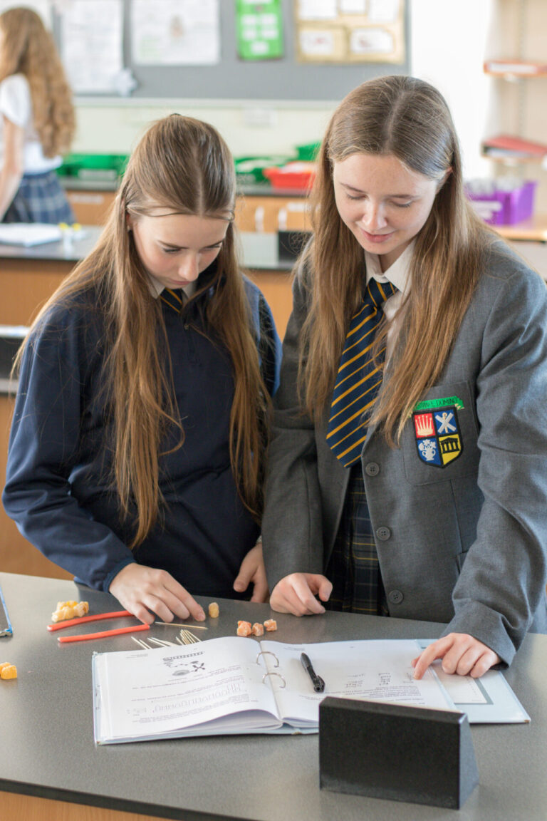 Biology Pupils Use Jelly Babies And Strawberry Laces in Sweet DNA Models - High School of Dundee